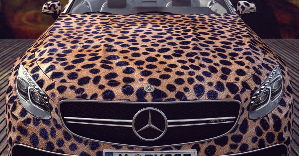 Πάρε θέση: To Animal Print γίνεται της μόδας