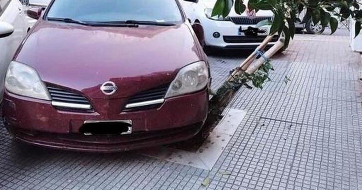 Απίστευτο: Οδηγός πάρκαρε πάνω σε κορμό δέντρου και το ξερίζωσε ...