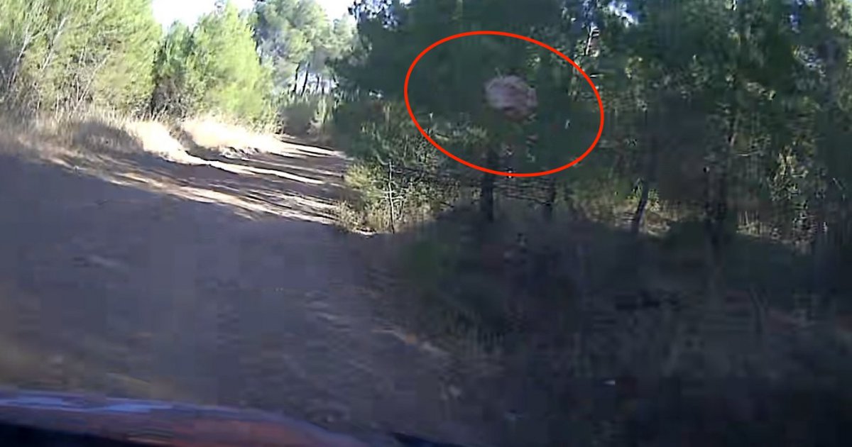 Απίστευτο, κι όμως αληθινό: Θεατής πέταξε πέτρα σε αγωνιστικό στο ΕΚΟ ...